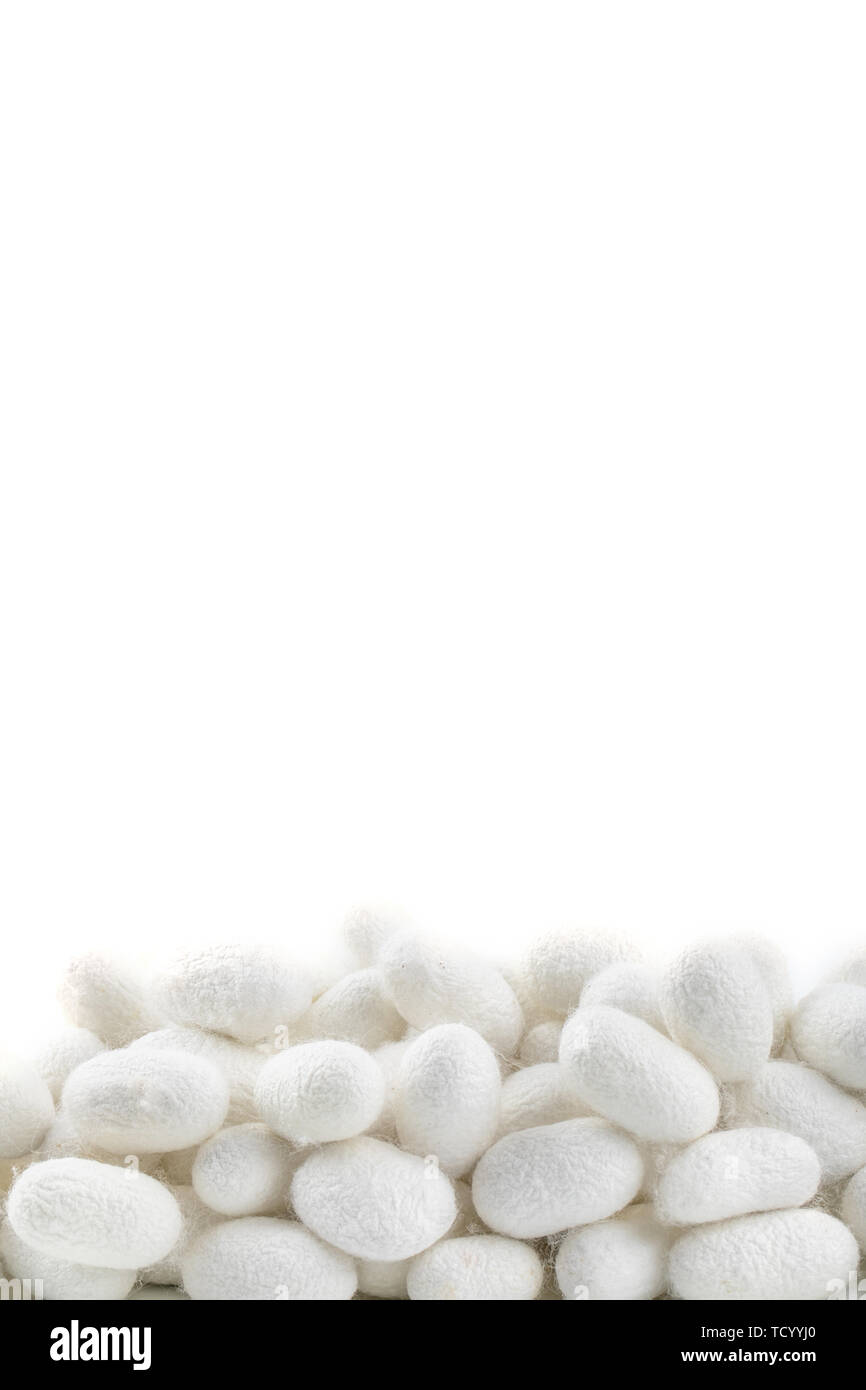 Smooth cocoon hi-res stock photography and images - Alamy