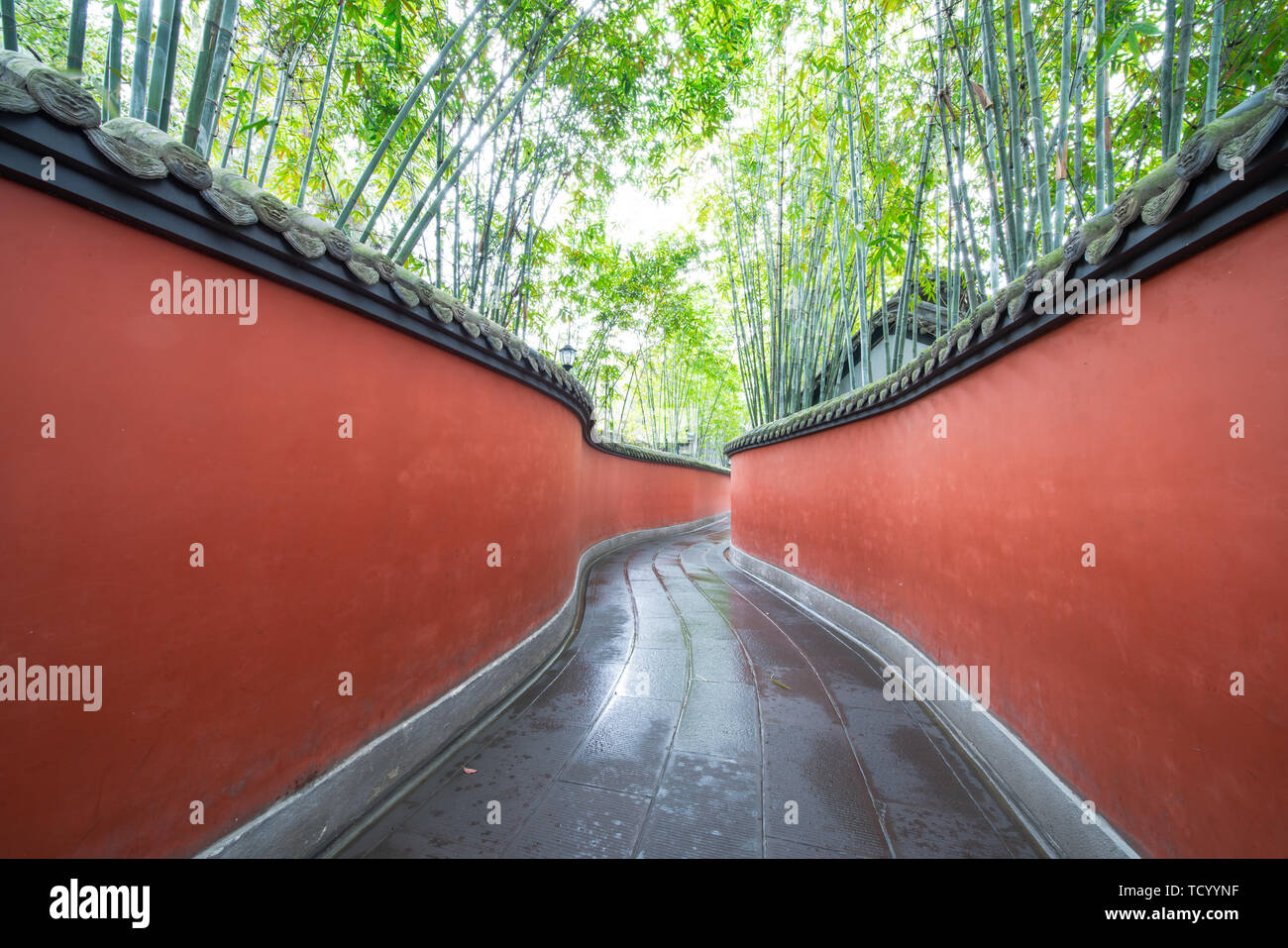 Red Wall and Bamboo Forest in Wuhou Temple Museum in Chengdu Stock ...