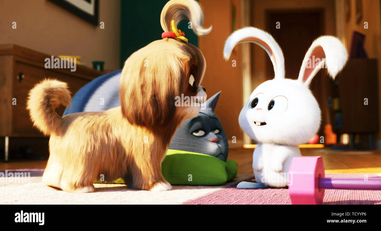 THE SECRET LIFE OF PETS 2, from left: Daisy (voice: Tiffany Haddish ...