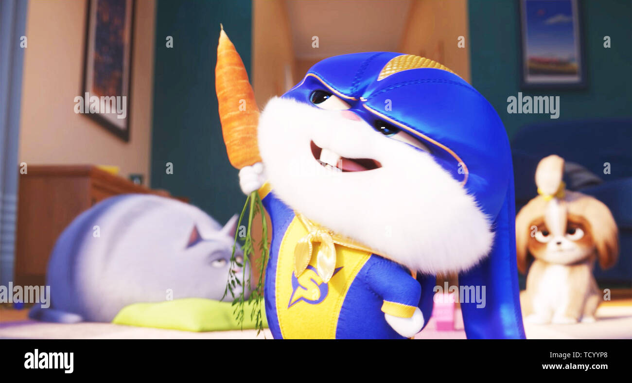 THE SECRET LIFE OF PETS 2, from left: Chloe (voice: Lake Bell ...