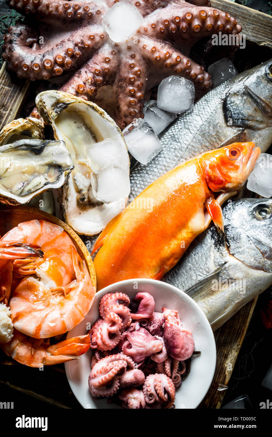 Shellfish Assortment High Resolution Stock Photography and Images - Alamy