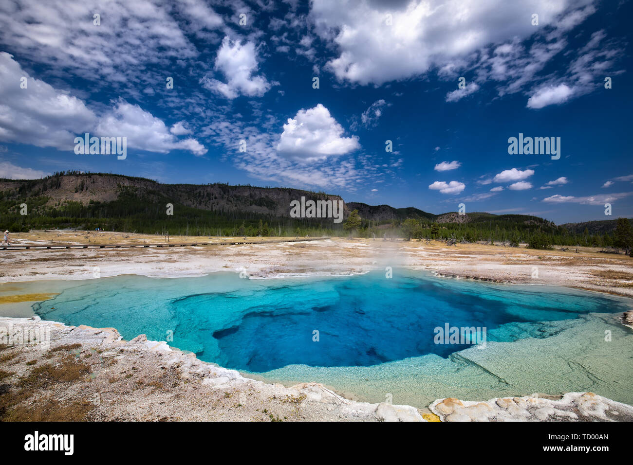 Hot Springs in Yellowstone Stock Photo - Alamy
