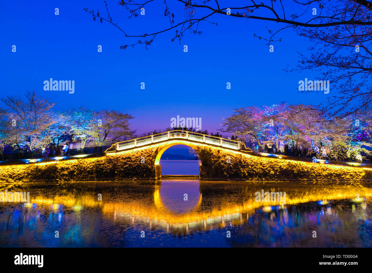 Touzhu night cherry, paired with Changchun Bridge, the bridge in the ...