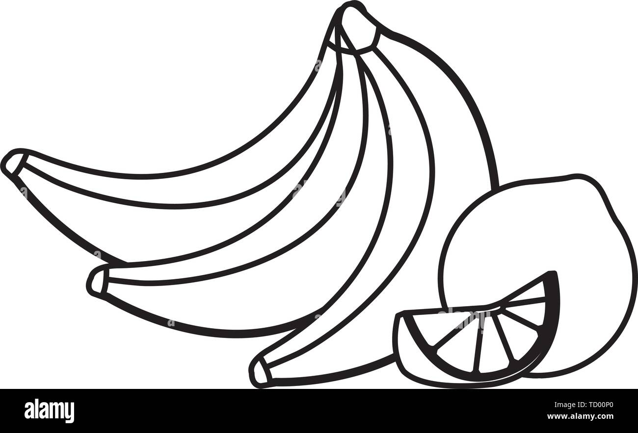 delicious mix of fruit cartoon in black and white Stock Vector Image ...