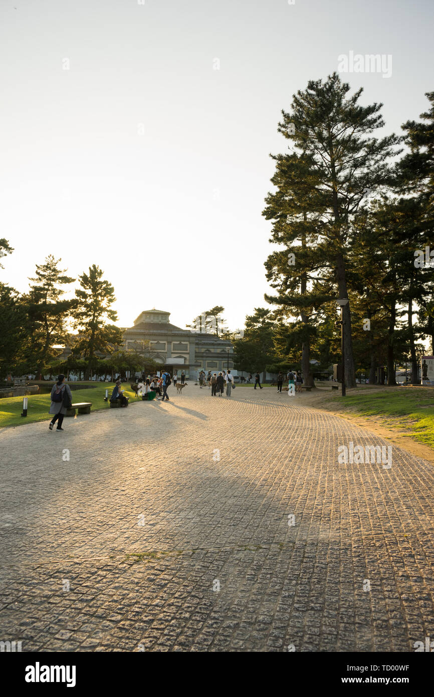Crowded pavement hi-res stock photography and images - Alamy