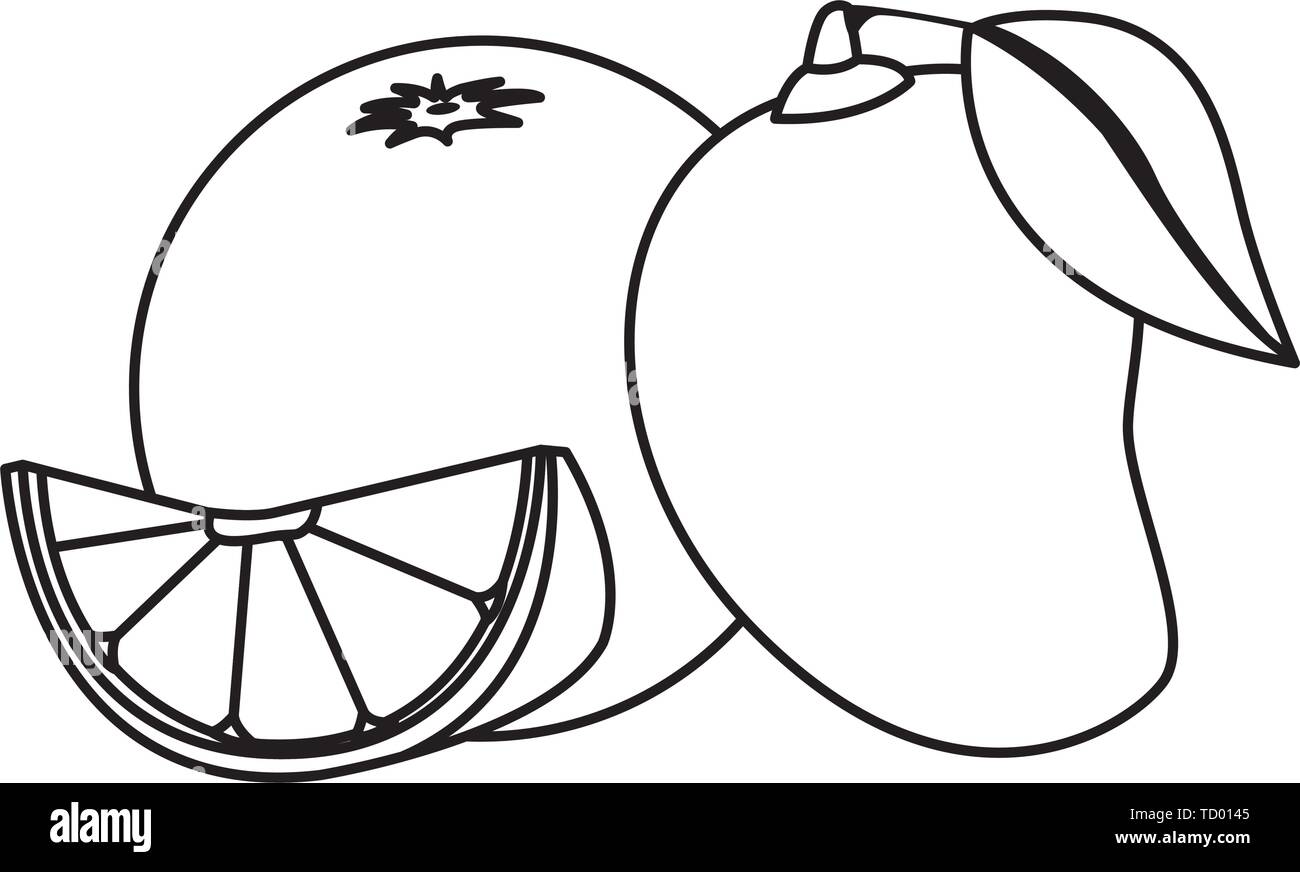 delicious mix of fruit cartoon in black and white Stock Vector Image ...