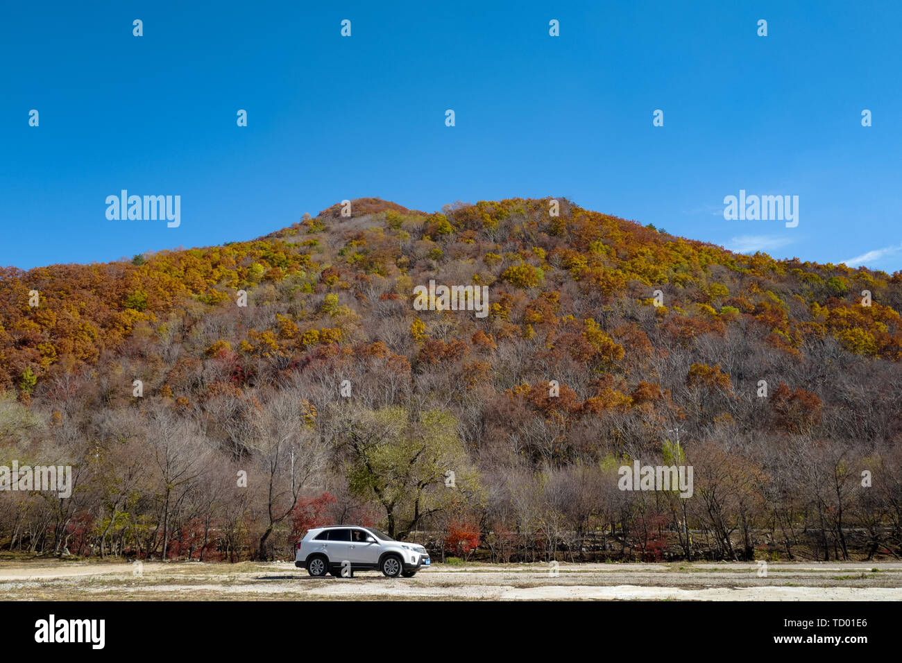 Fengshan hi-res stock photography and images - Alamy