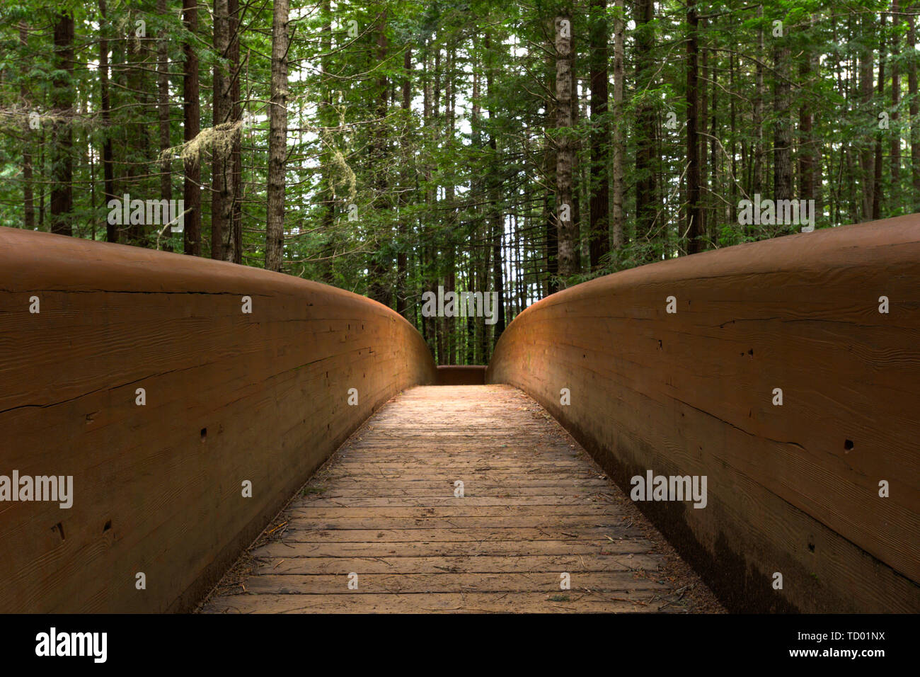 Modern redwood hi-res stock photography and images - Alamy