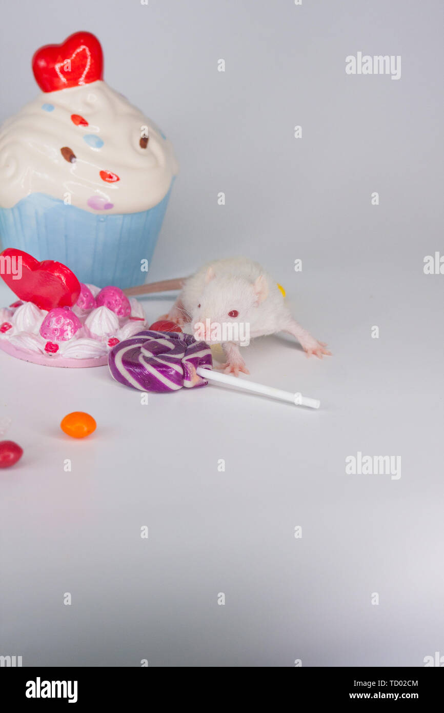 Rainbow mouse ears hi-res stock photography and images - Alamy