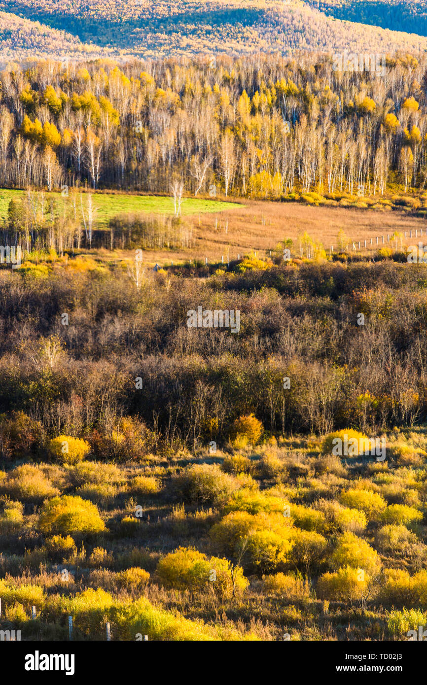 Erguna river and river forest hi-res stock photography and images - Alamy