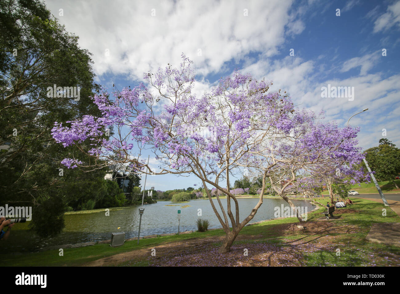 Campus of QU, Australia Stock Photo - Alamy