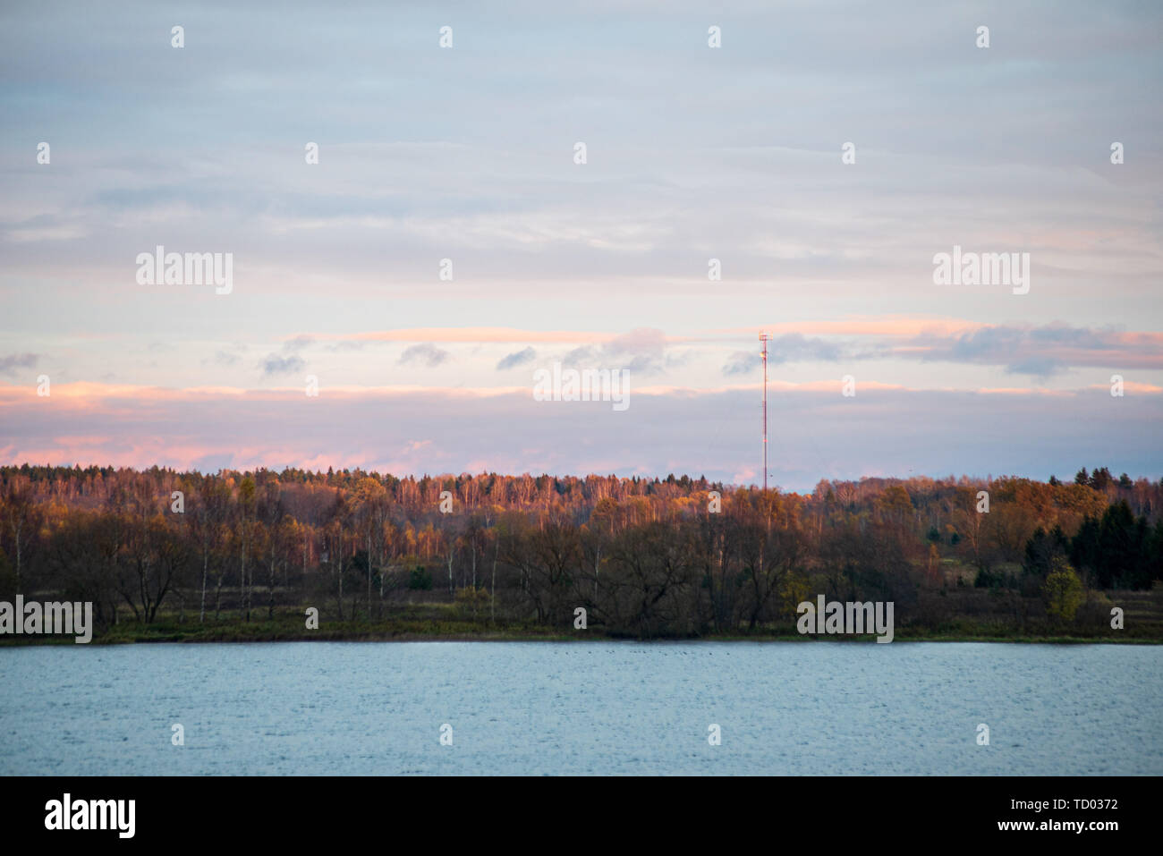 deep dark forest lake with reflections of trees and green foliage with ...
