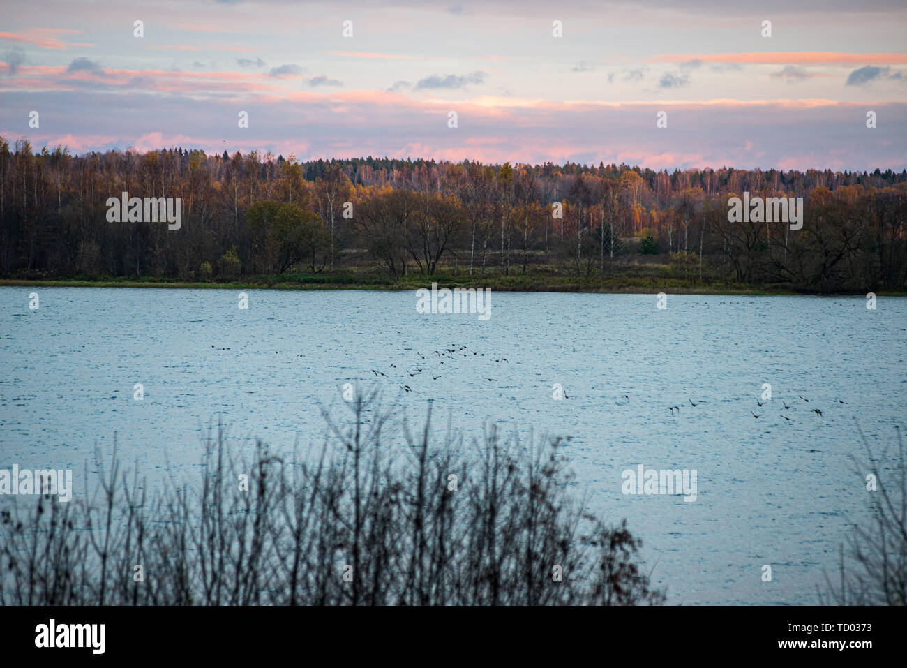 deep dark forest lake with reflections of trees and green foliage with ...