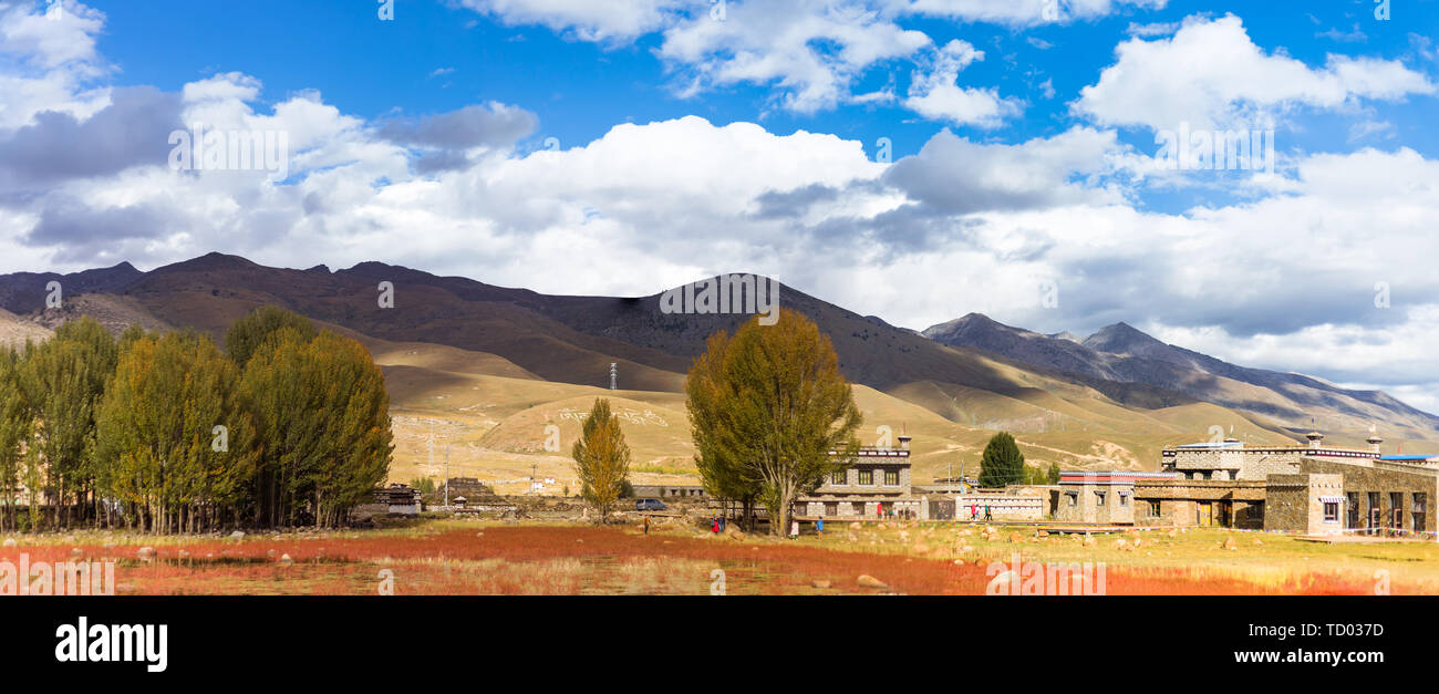 Autumn of Rice City Aden Stock Photo - Alamy