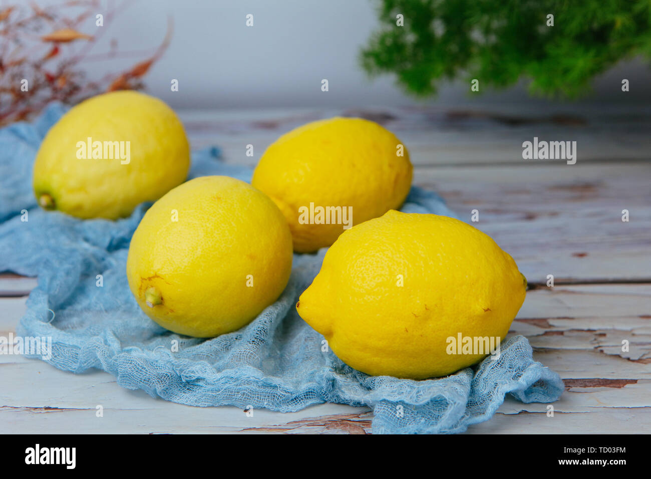 Fresh fruit, yellow lemon Stock Photo - Alamy