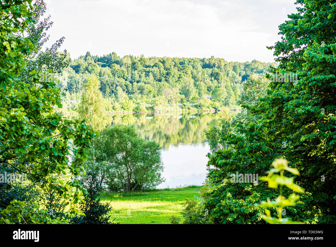 deep dark forest lake with reflections of trees and green foliage with ...
