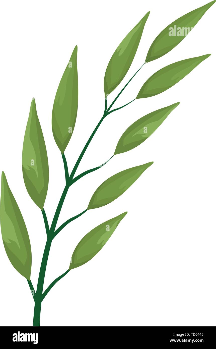 exotic tropical leaves icon cartoon Stock Vector Image & Art - Alamy