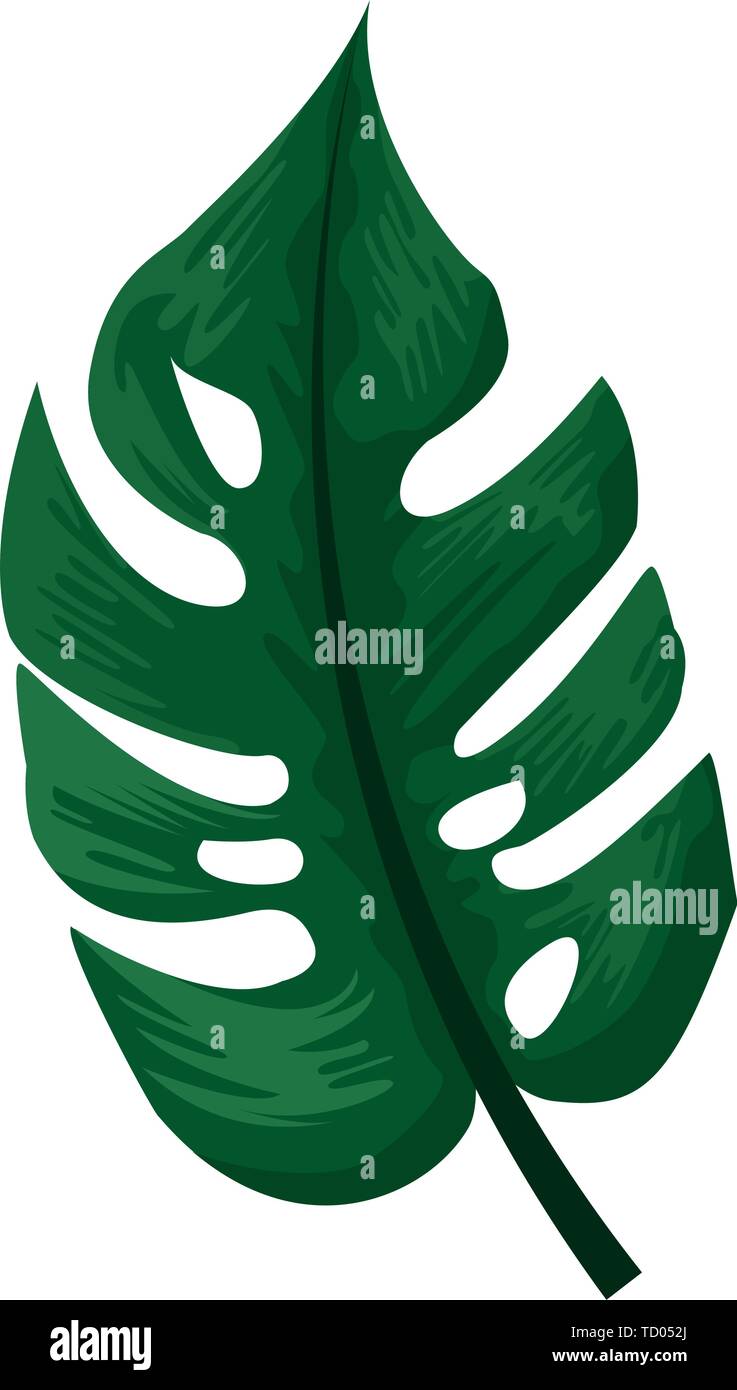 exotic tropical leaves icon cartoon Stock Vector Image & Art - Alamy