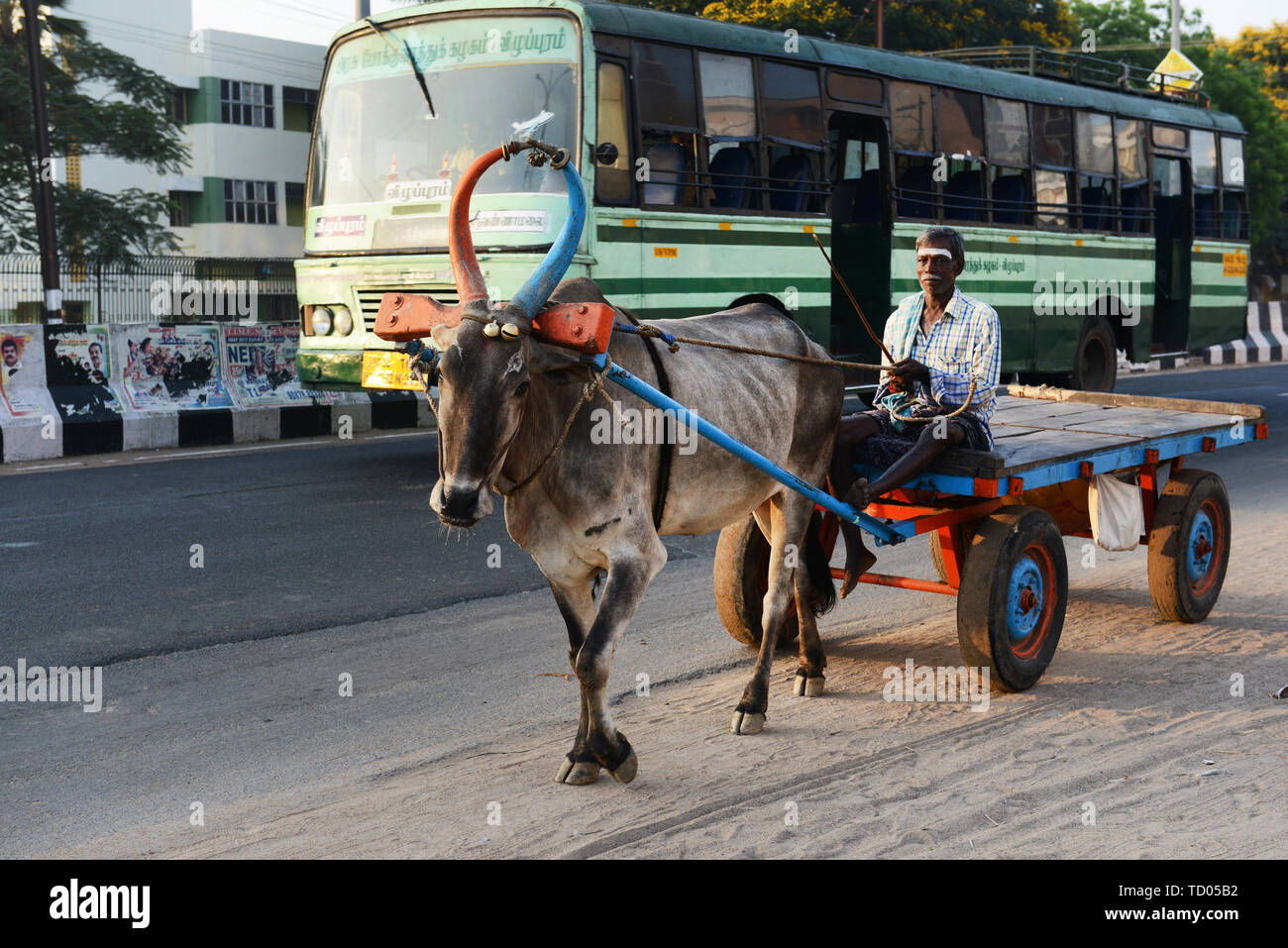 A colorful Bullock cart in Viluppuram, India Stock Photo - Alamy