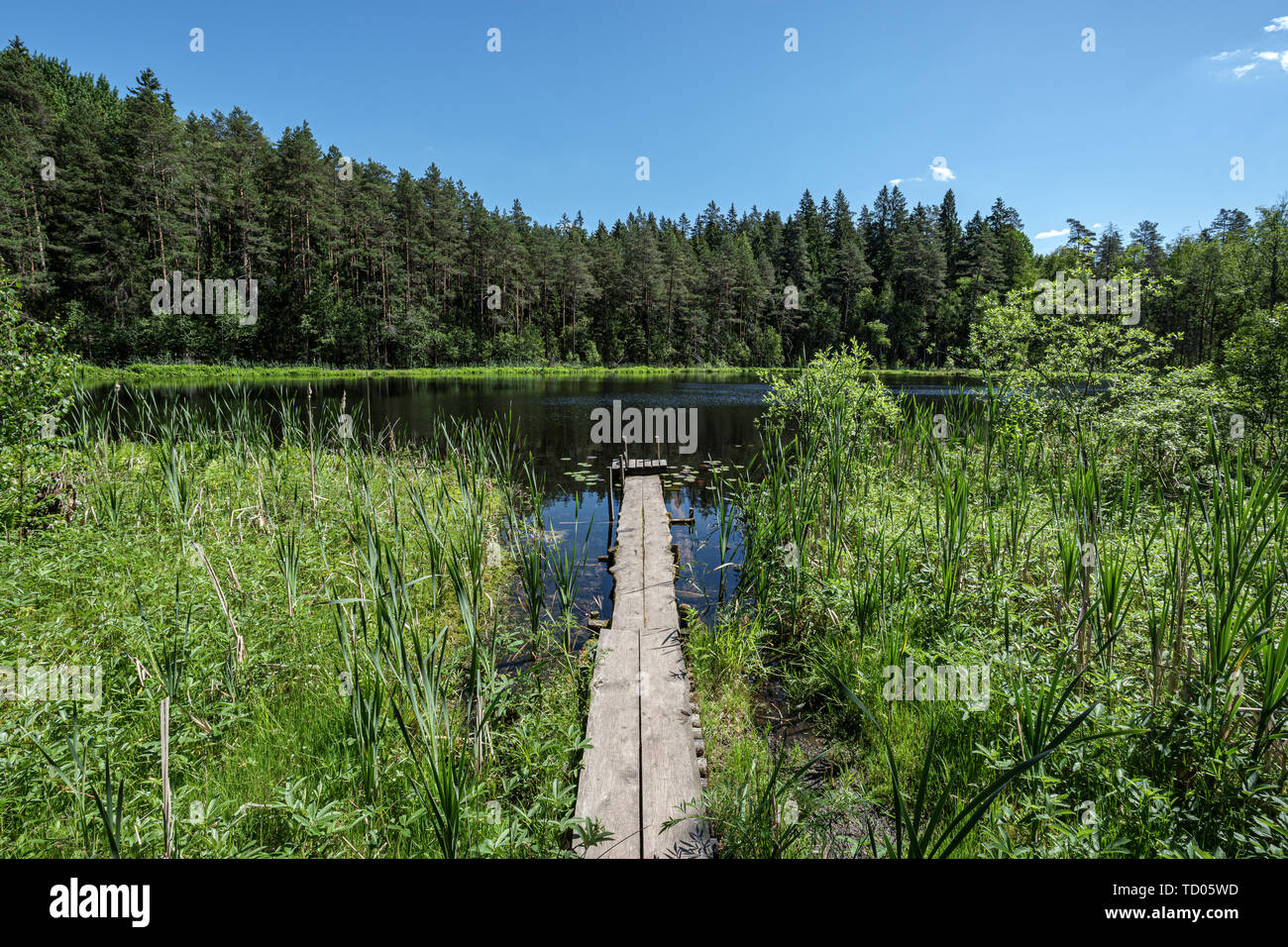 nice wooden plank boardwalk leans into blue lake with green shores and ...