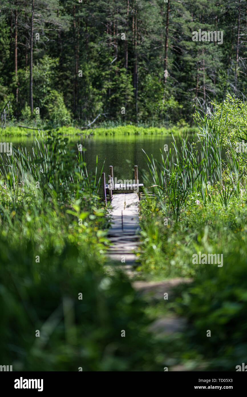nice wooden plank boardwalk leans into blue lake with green shores and ...
