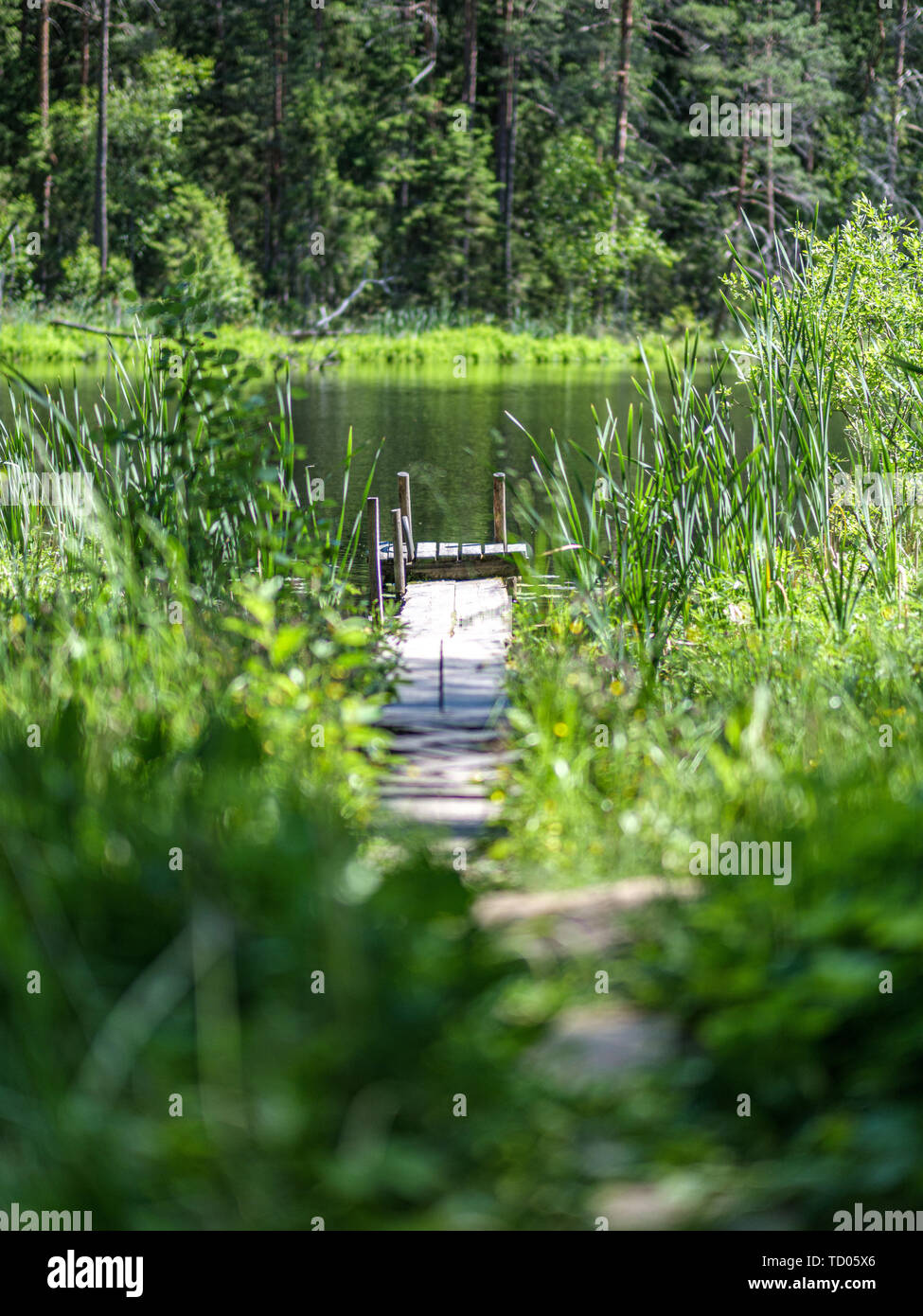 nice wooden plank boardwalk leans into blue lake with green shores and ...