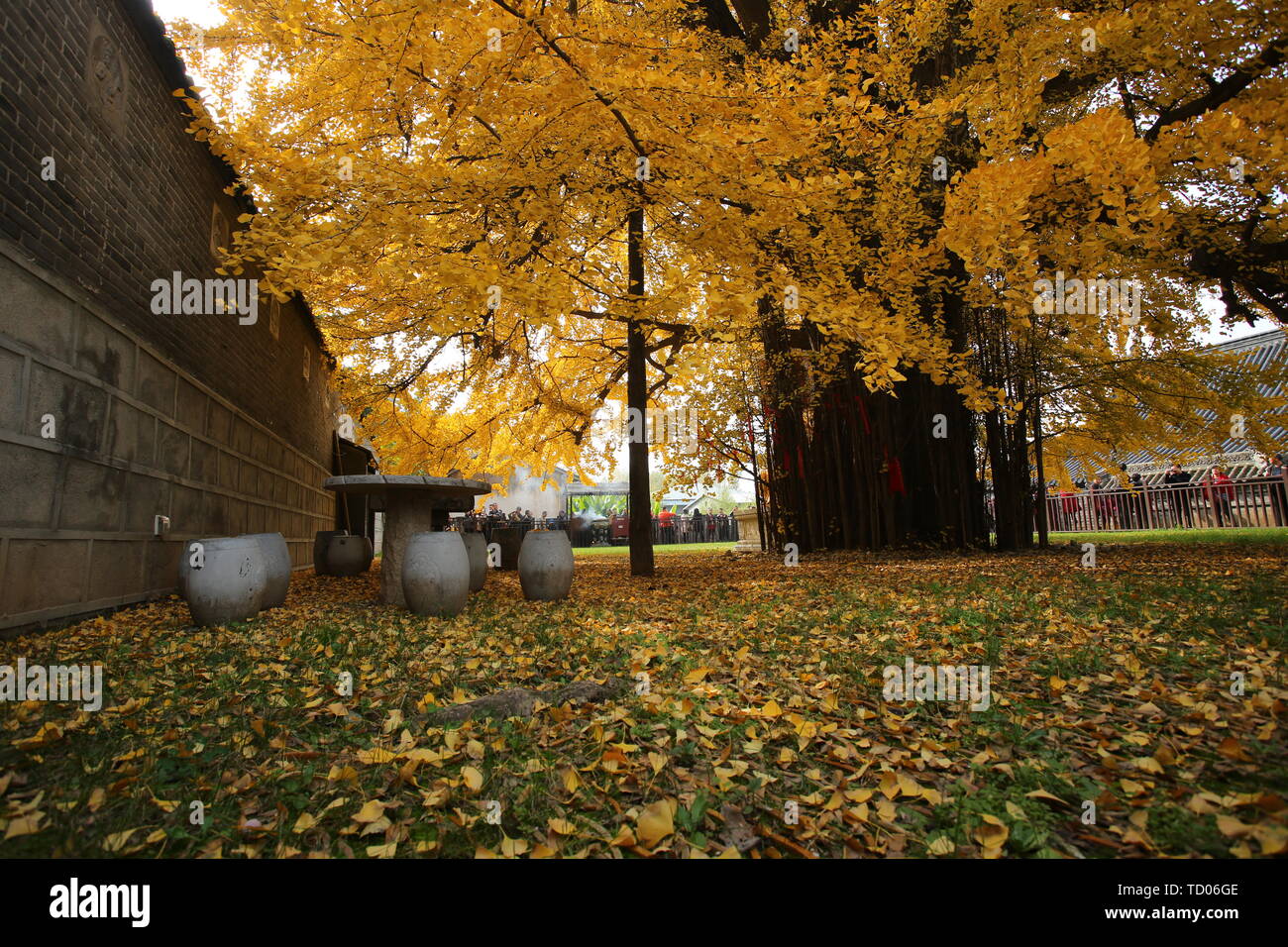 Guanyin temple in xi'an hi-res stock photography and images - Alamy