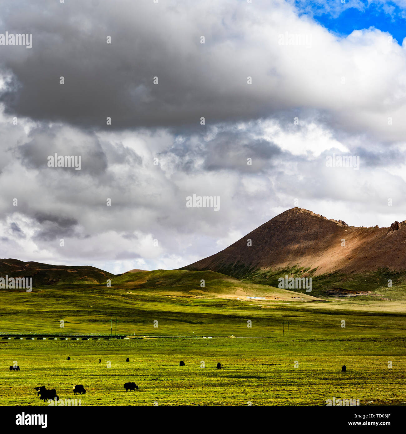 Plateau pastoral song Stock Photo - Alamy
