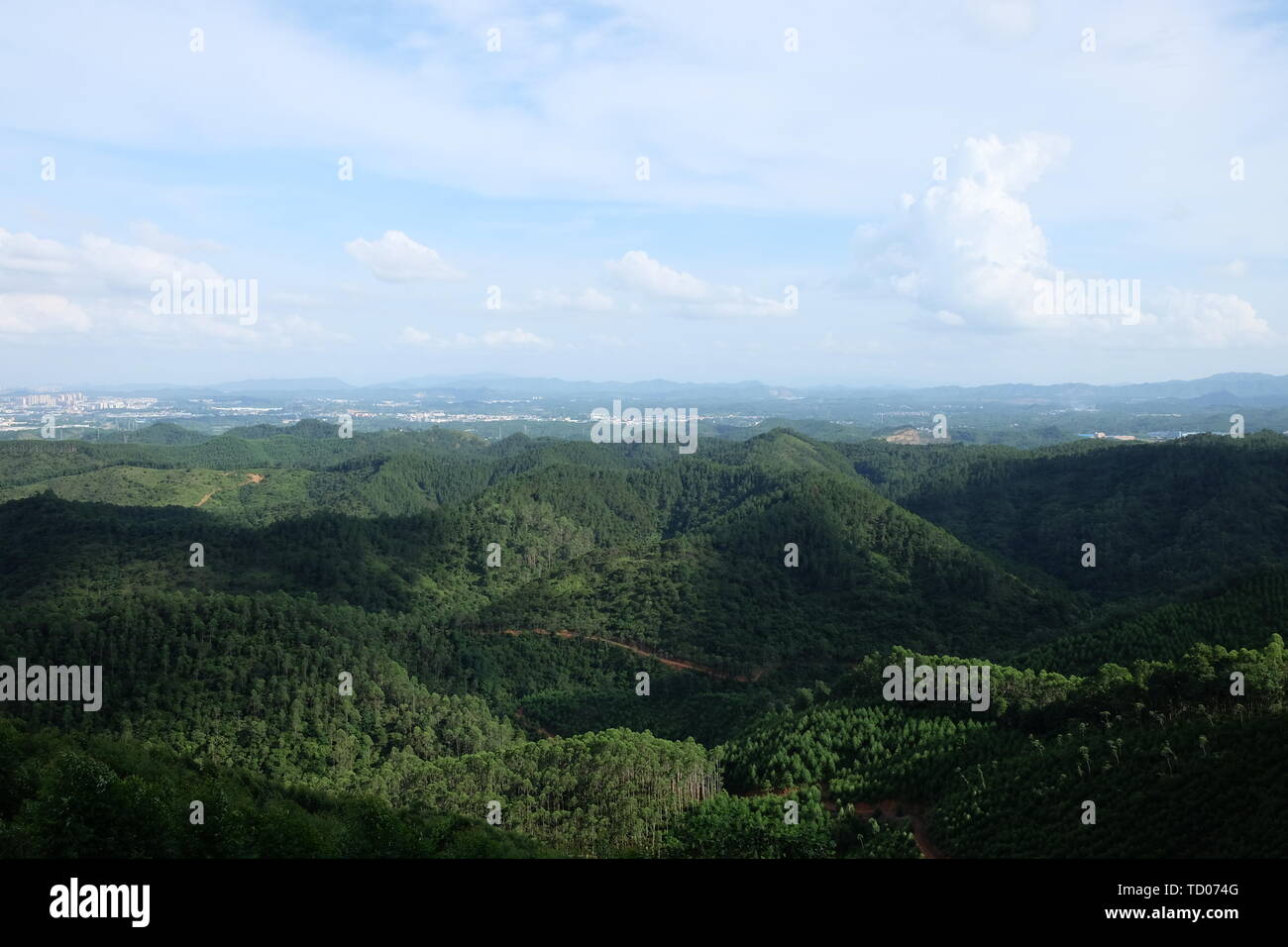 Lin hai hi-res stock photography and images - Alamy