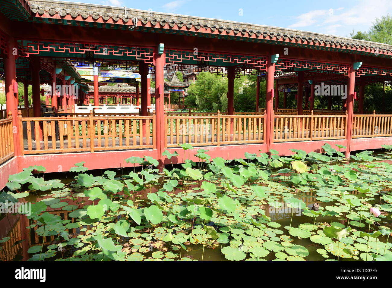 Antique architecture and lotus pavilion lotus Stock Photo - Alamy