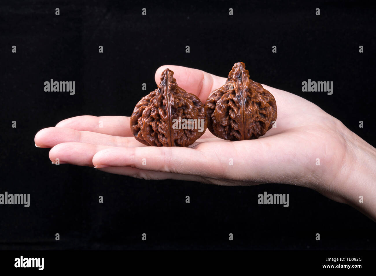 Lion head walnut hi-res stock photography and images - Alamy