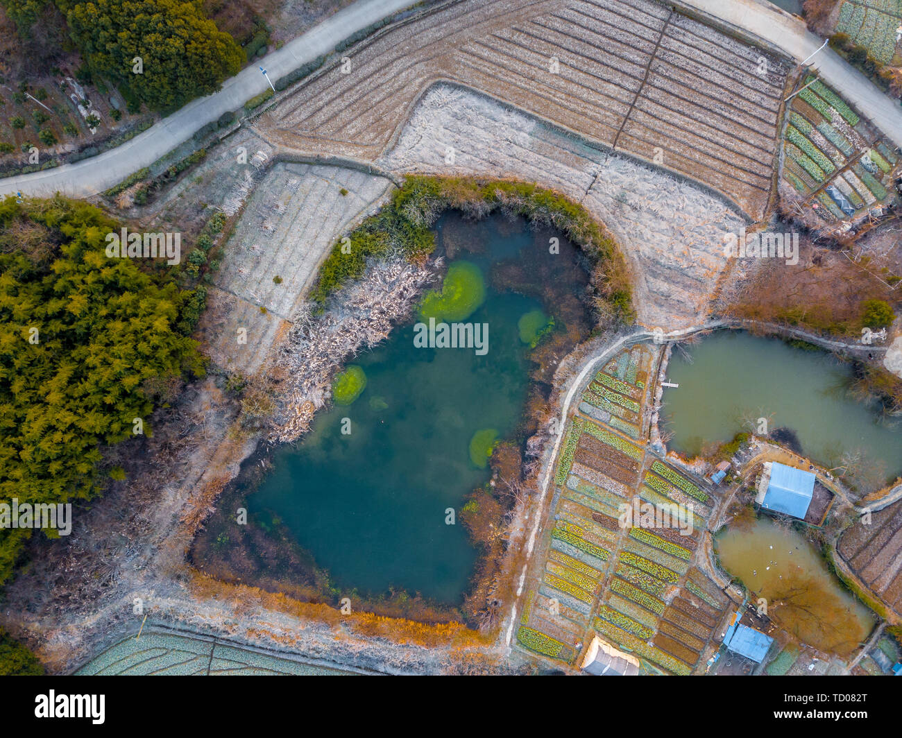 In early winter, the field was photographed in Maanshan City, Anhui ...