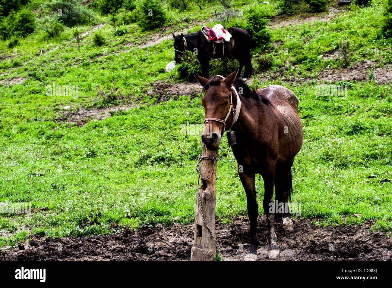 Zagana village hi-res stock photography and images - Alamy