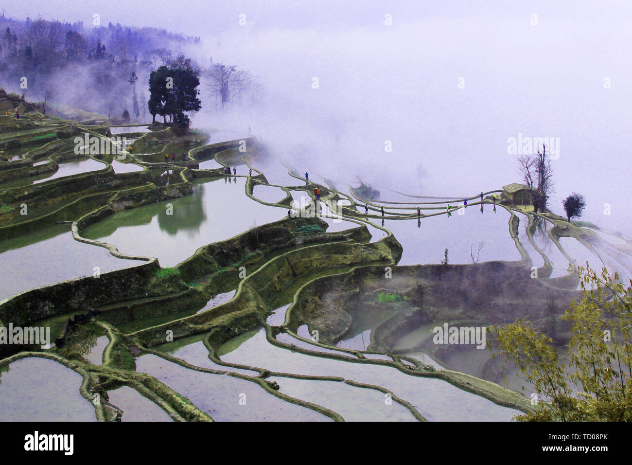 Clouds dazzle Yuanyang terraces Stock Photo - Alamy