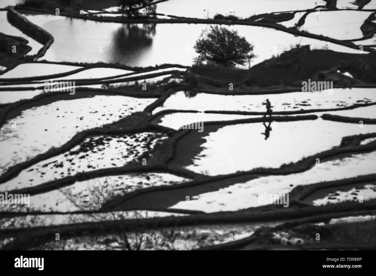 Tangkou terraces in the early morning Stock Photo - Alamy