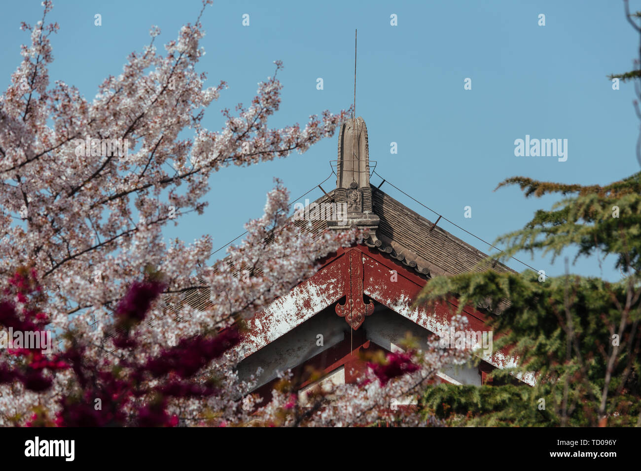 Qinglong temple hi-res stock photography and images - Alamy