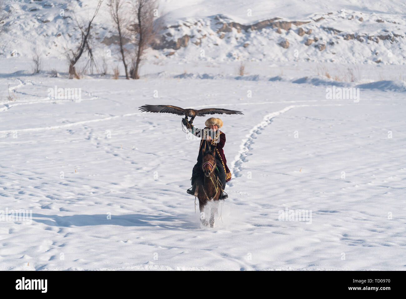 The Kazakh eagle tamer and his eagle Stock Photo - Alamy