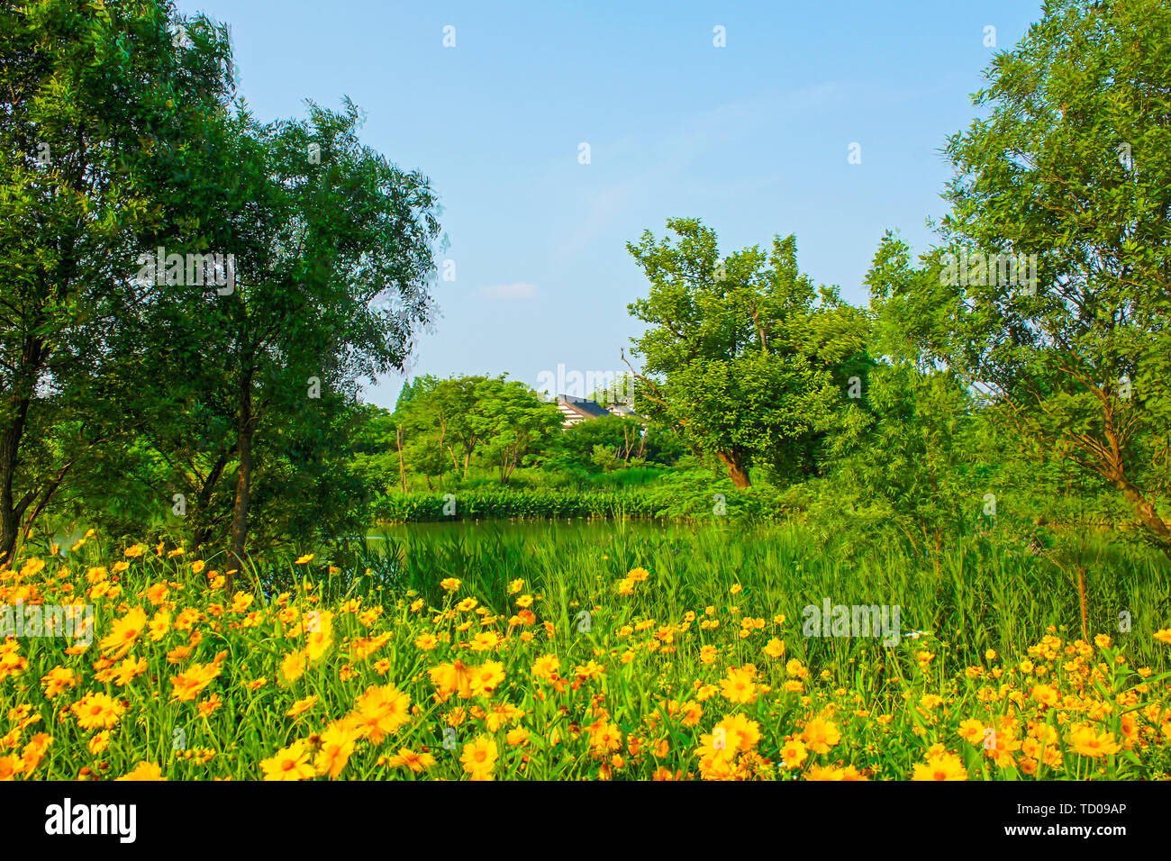Scenery of Xixi Wetland in Hangzhou Stock Photo - Alamy