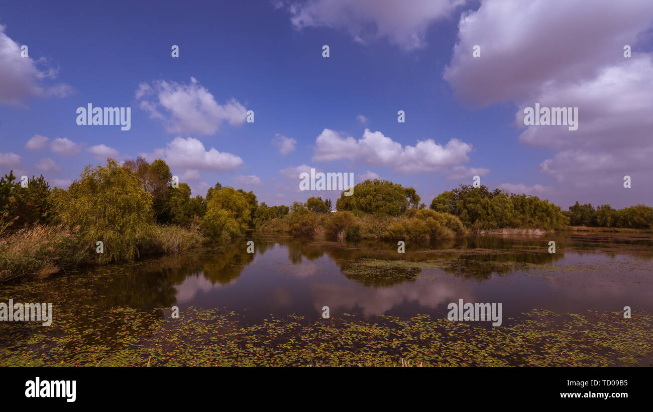 Kunming Lake, Xi'an Stock Photo - Alamy