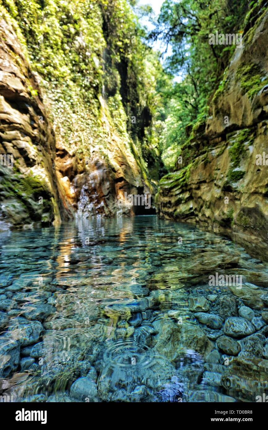 Canyon secluded stream Stock Photo - Alamy