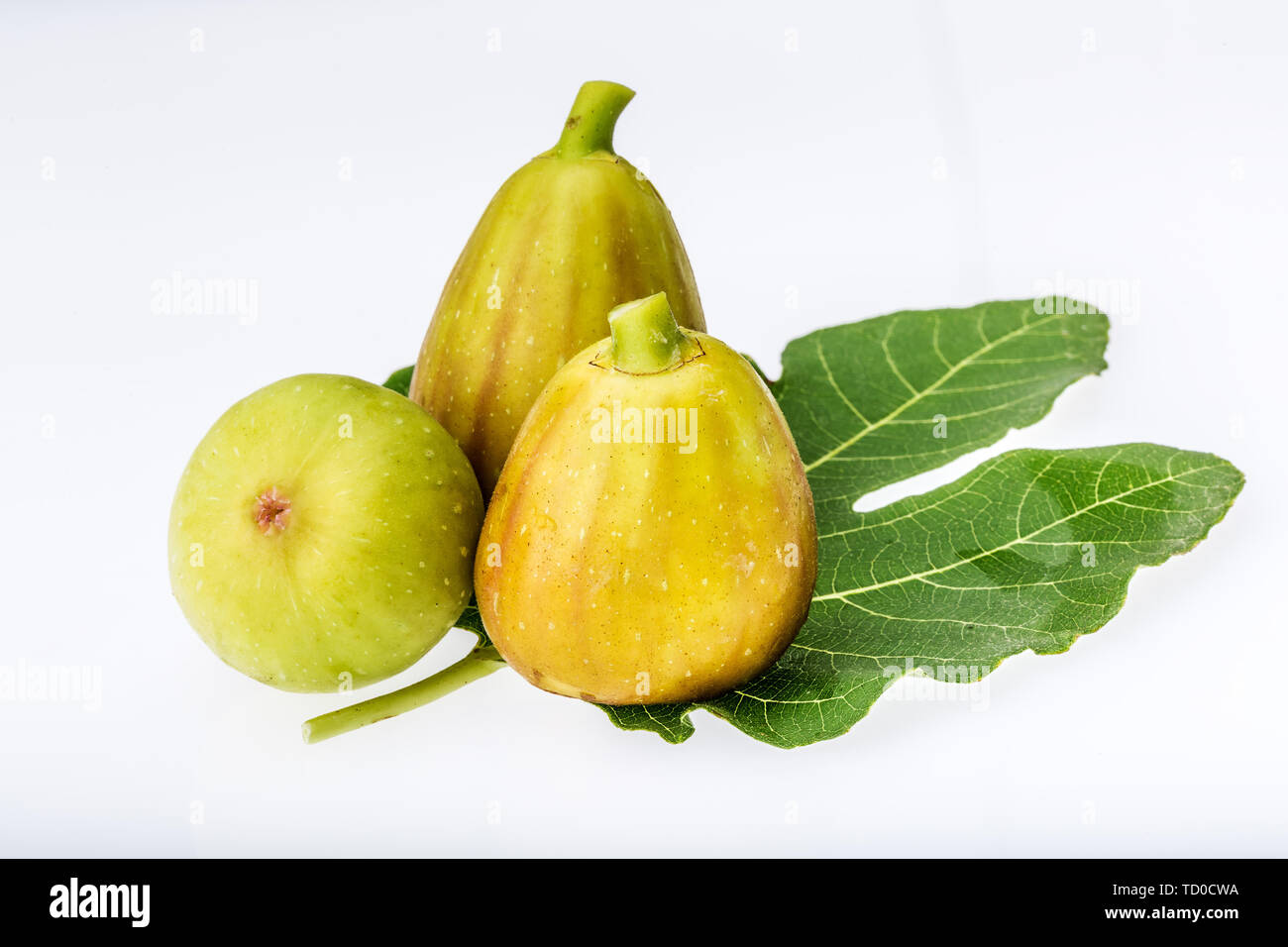 Fig HD pictures Stock Photo - Alamy