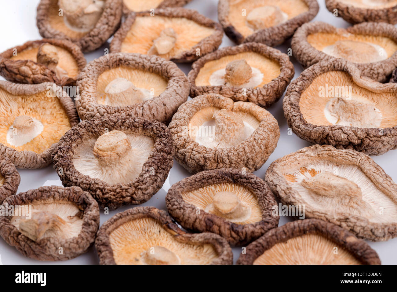Shiitake letters hi-res stock photography and images - Alamy