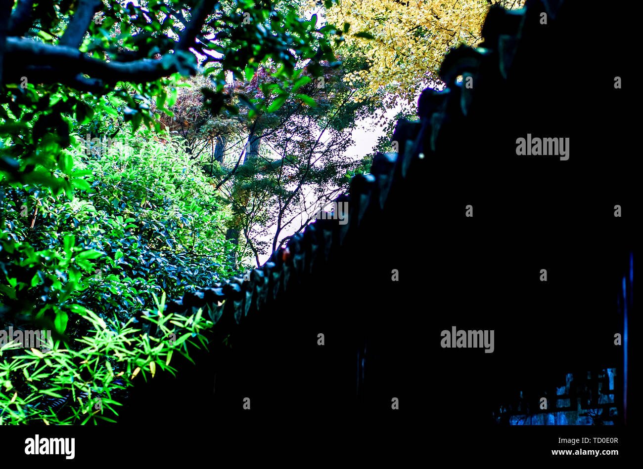 Autumn Color in Suzhou Garden Stock Photo - Alamy