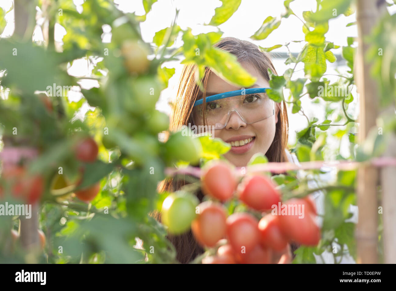 young beautiful chinese woman works in green field Stock Photo - Alamy