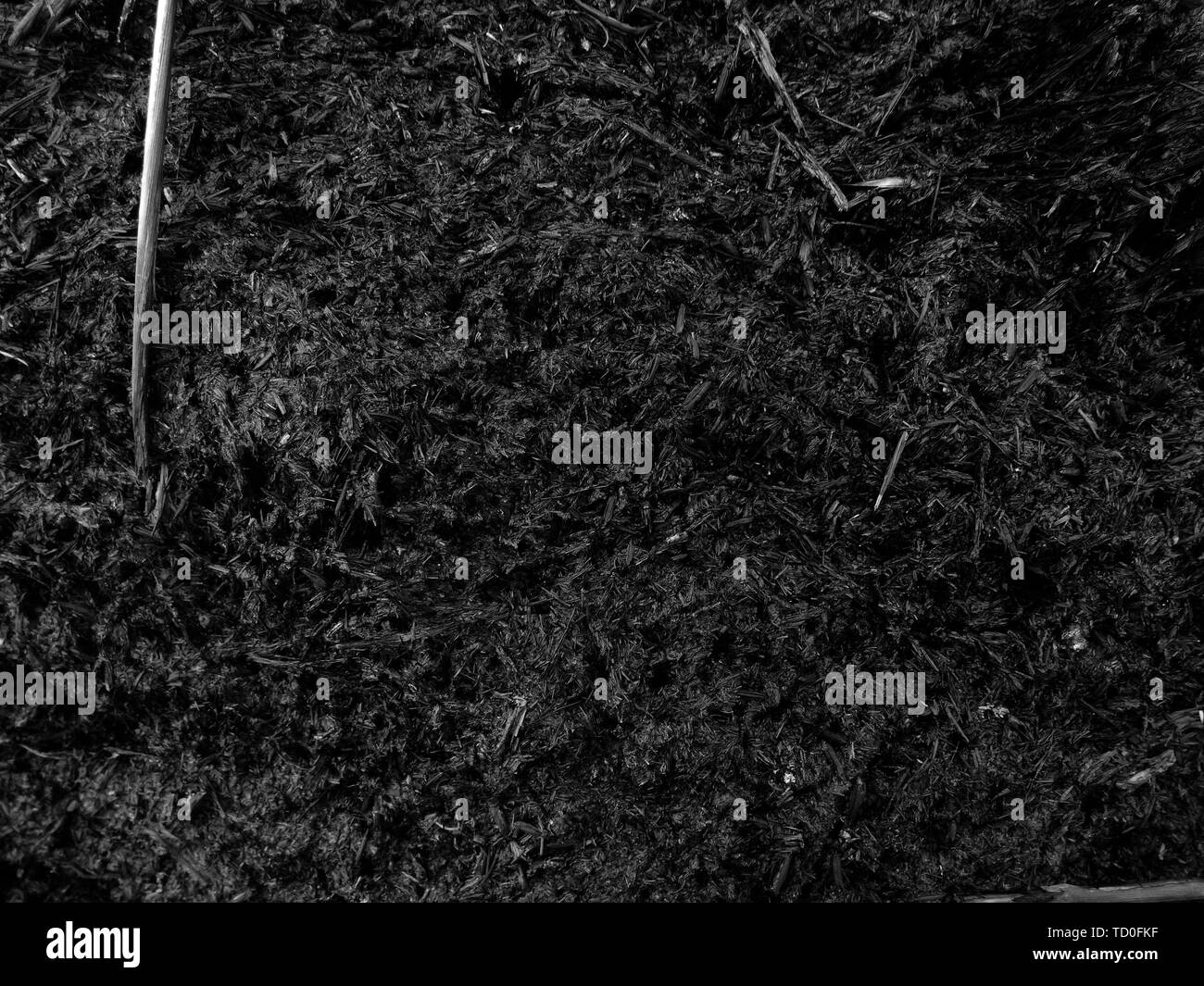 The charred texture of the land Stock Photo - Alamy