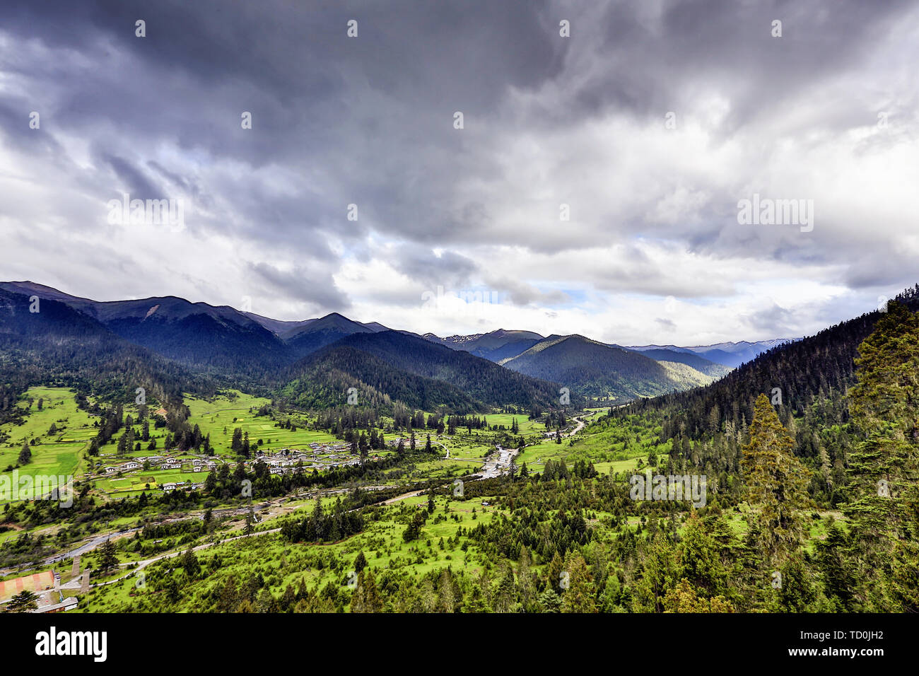 Scenery of Yingzhi Lulang Linhai in Tibet Autonomous Region Stock Photo ...
