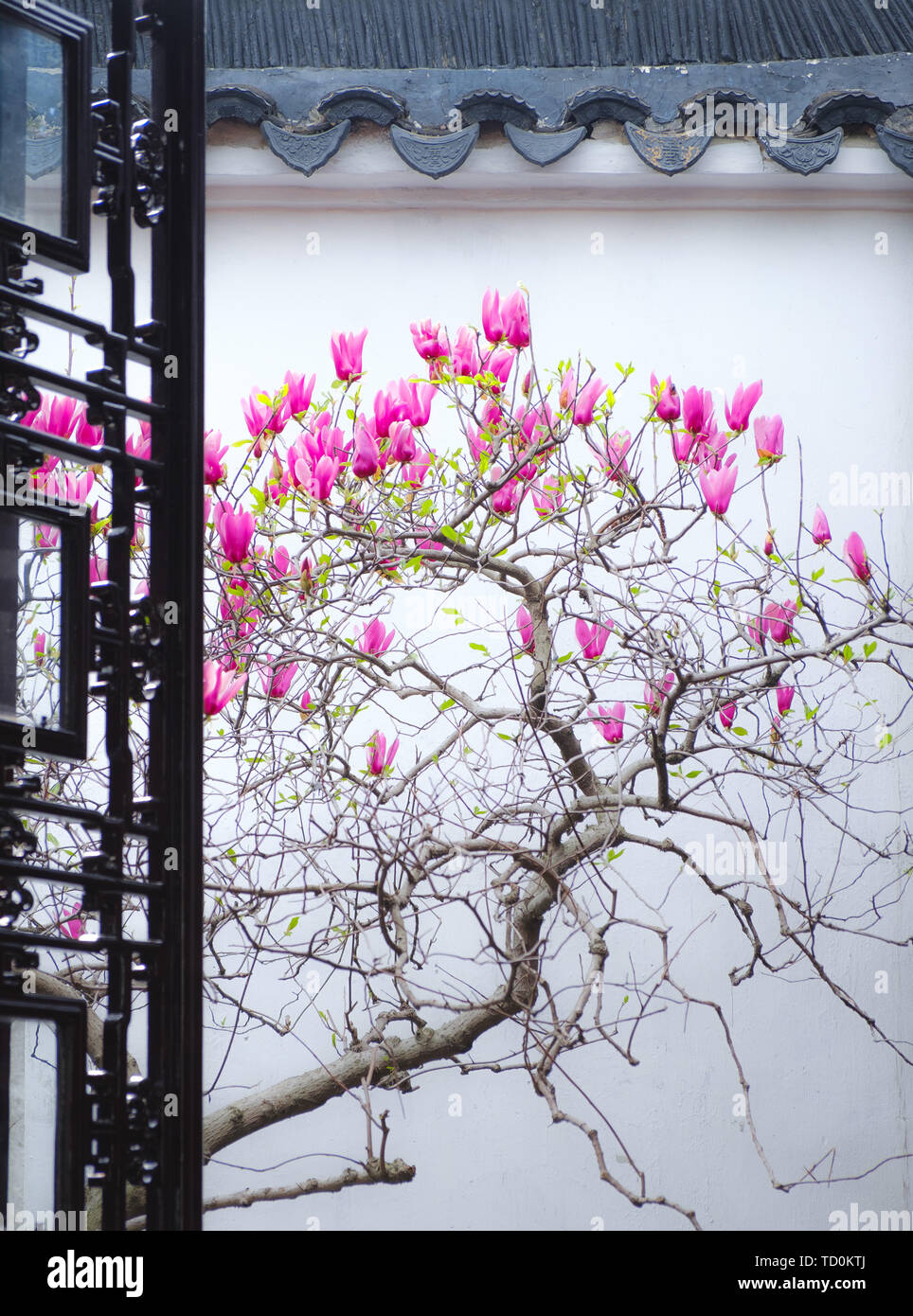 Spring in the gardens of Suzhou Stock Photo - Alamy
