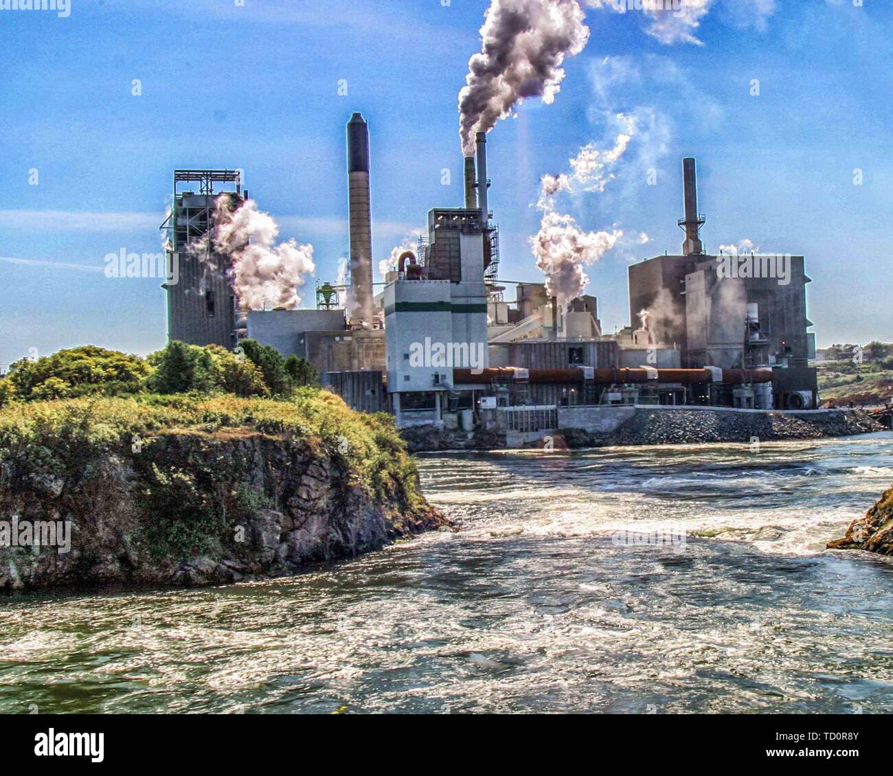 Irving pulp and paper hi-res stock photography and images - Alamy