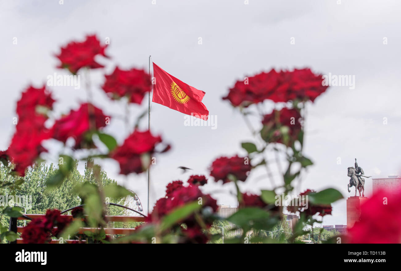 Fei flag hi-res stock photography and images - Alamy