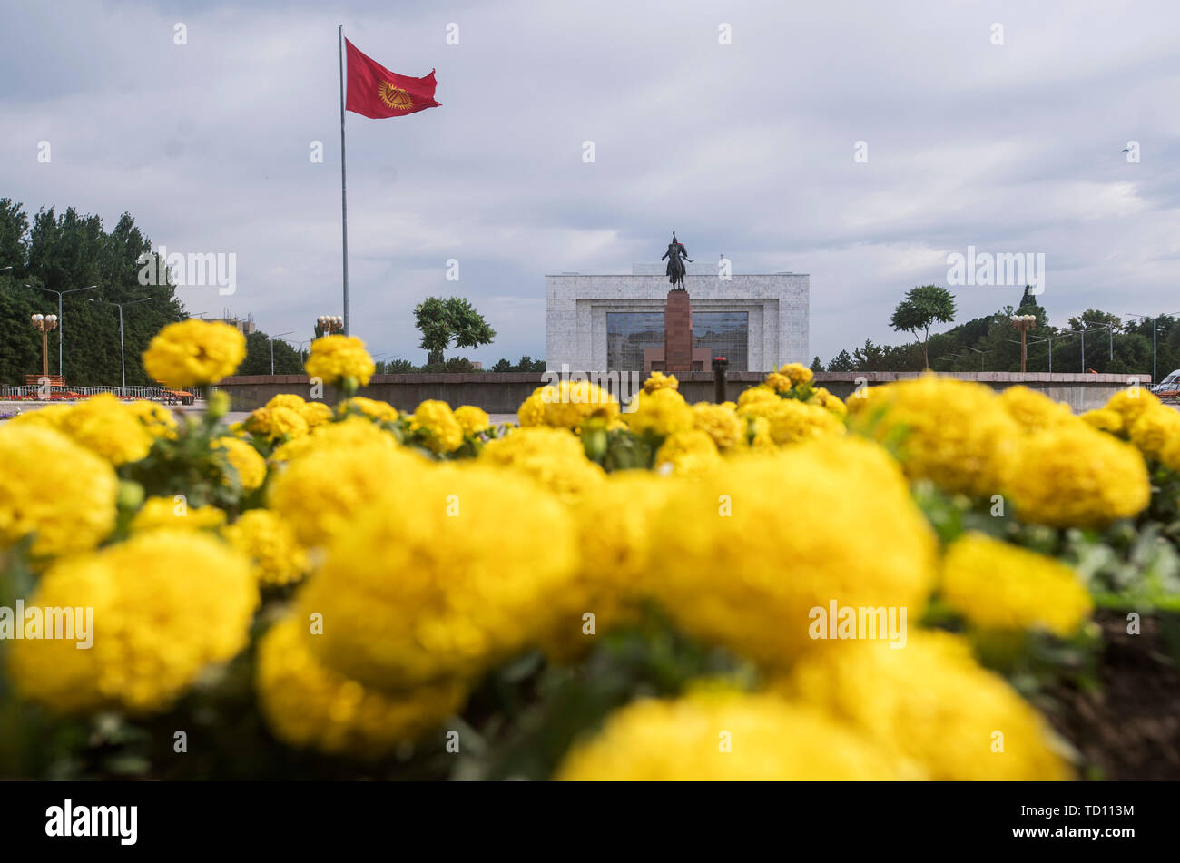 Fei flag hi-res stock photography and images - Alamy